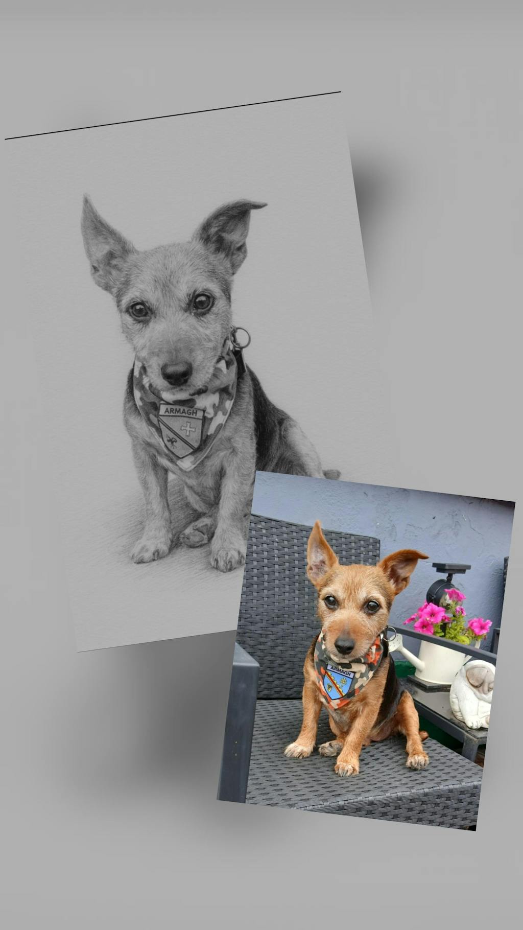 Jean's Tribute to Barney: A Portrait That Will Be Treasured Forever ...